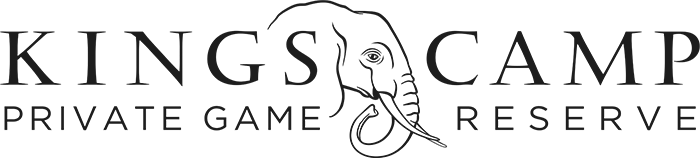 Timbavati Safari Lodge | Kings Camp